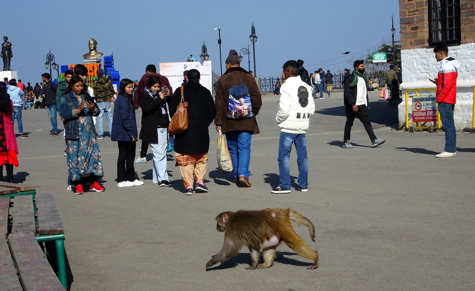 Spitfire Front Shock absorbers - Suspension, Handling, Tyres and Brakes ...