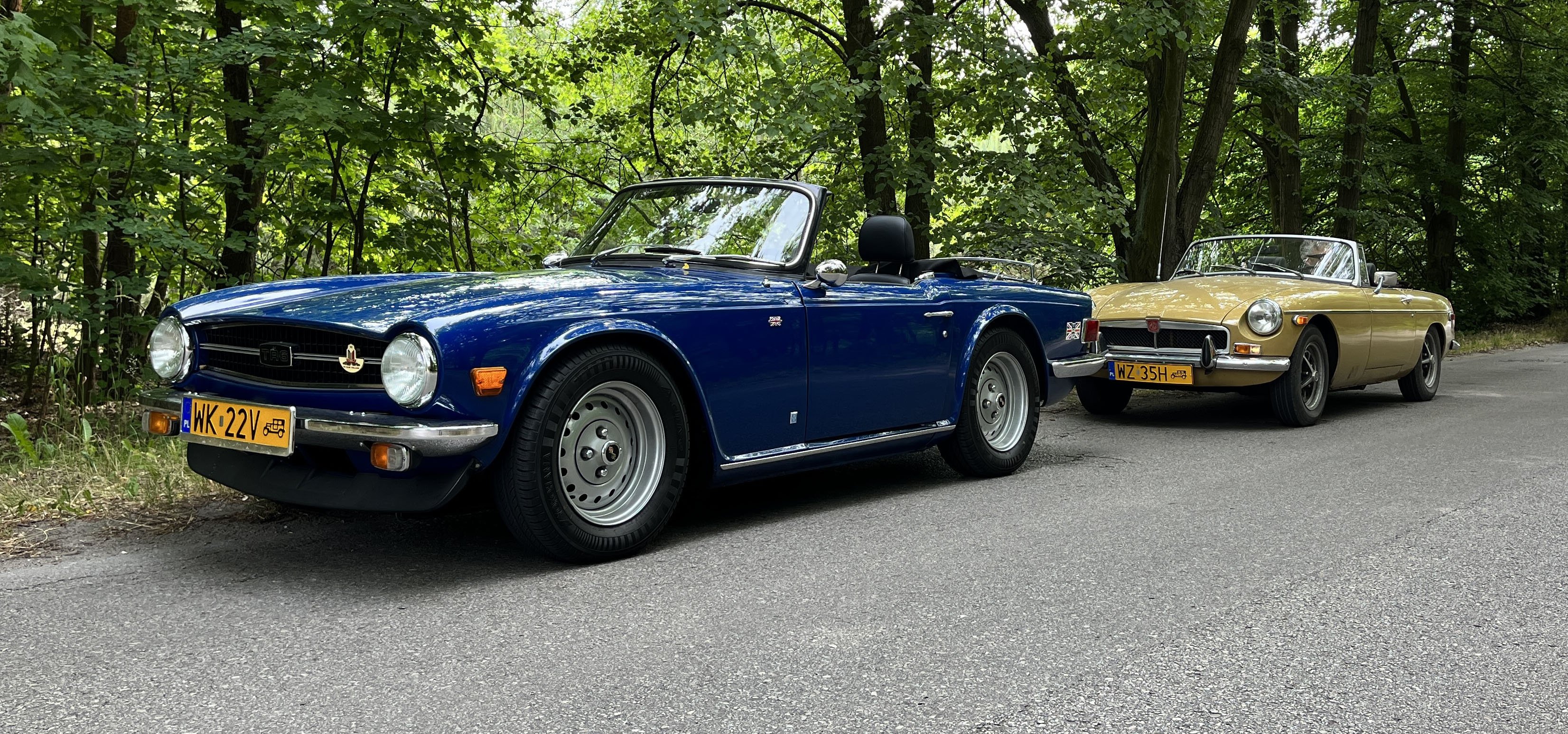 TR6 ride height - Triumph TR Series - Sideways Technologies